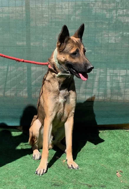 BOYKE – BETA Lebanon